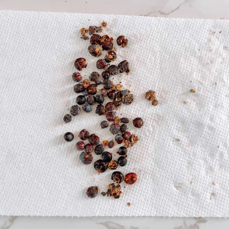 Juniper Berry Tea | theseasidecalls.com